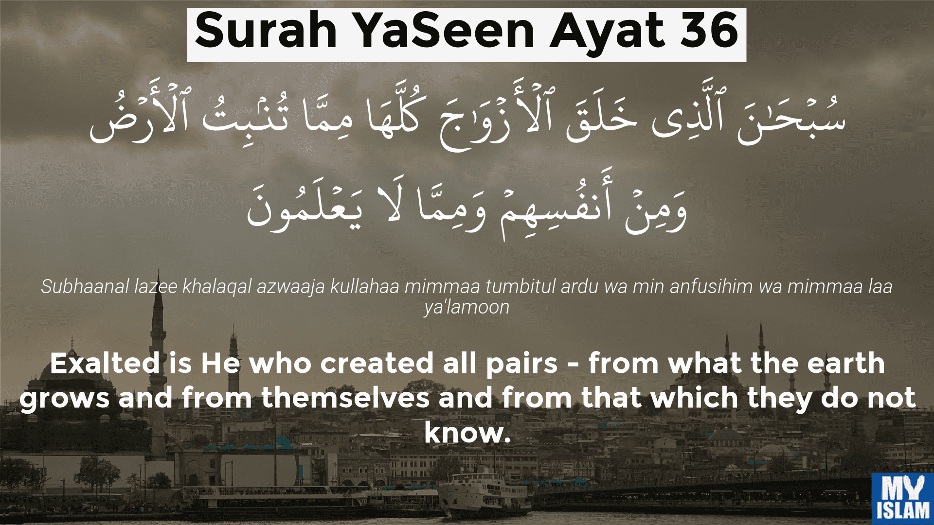 Surah Yaseen Ayat 36 9 Quran With Tafsir My Islam 50 OFF