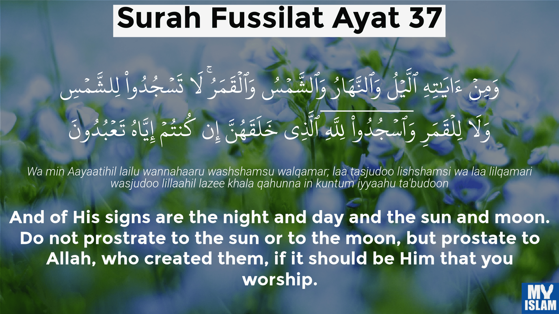 Surah Fussilat Ayat 33 41 33 Quran With Tafsir My Islam Surah Fussilat Ayat 33 41 33 Quran With Tafsir My Islam