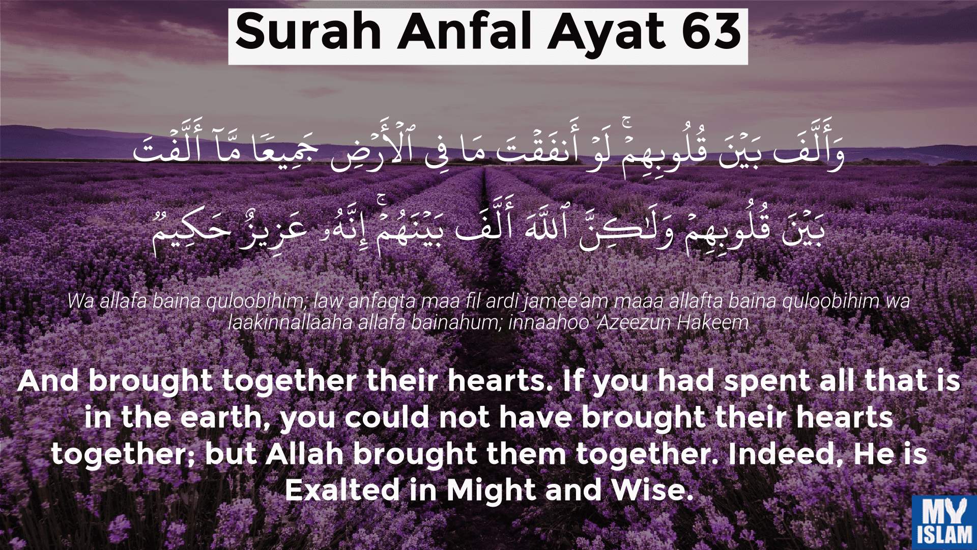 Surah Al Anfal Ayat 63 8 63 Quran With Tafsir My Islam