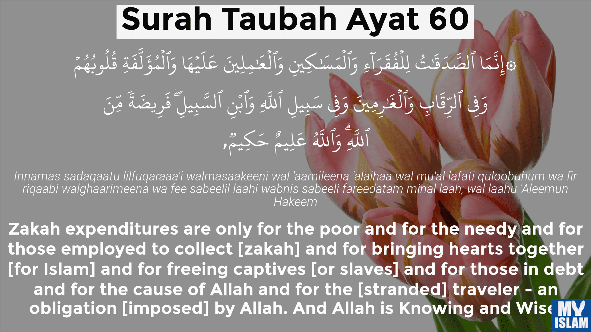 Surah Taubah Ayat 94 9 94 Quran With Tafsir My Islam 59 OFF