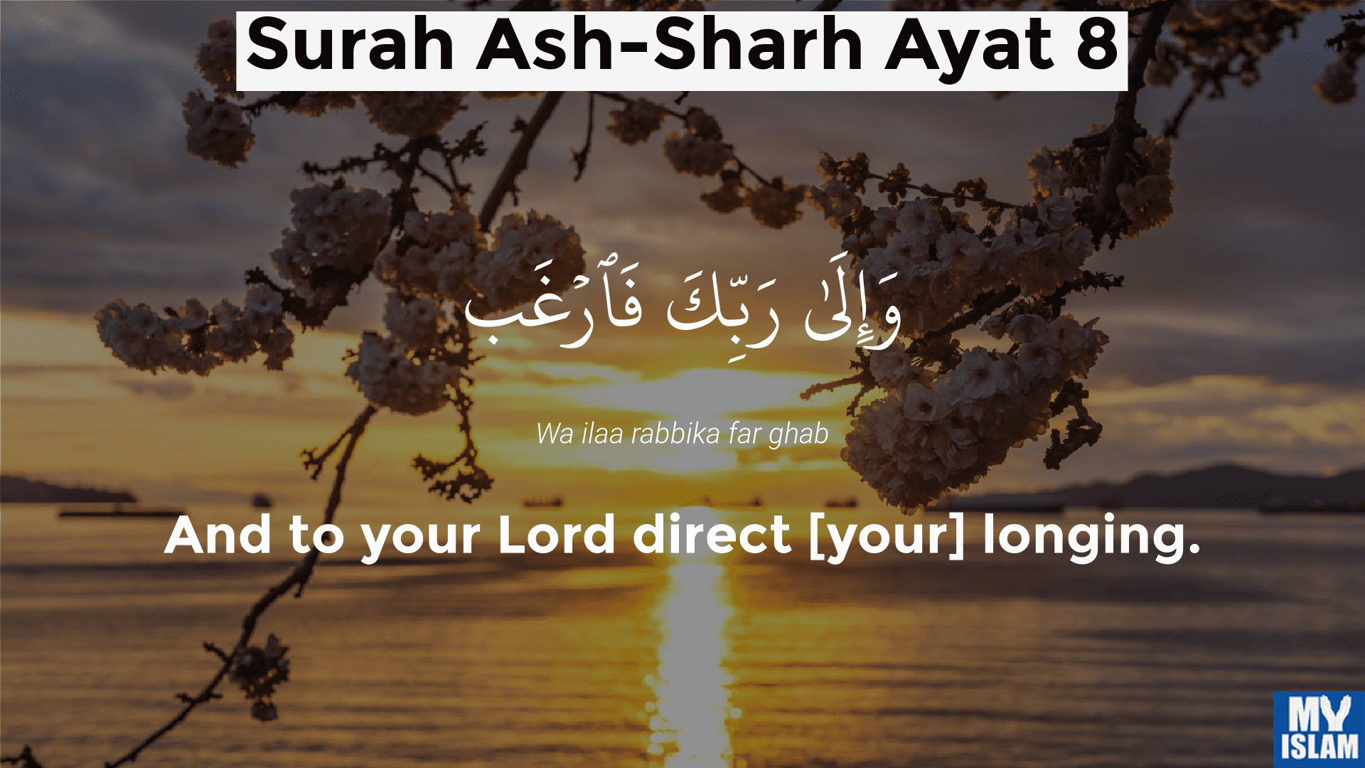 Surah Ash Sharh Ayat 8 94 8 Quran With Tafsir Surah Ash Sharh Ayat 8 94 8 Quran With Tafsir